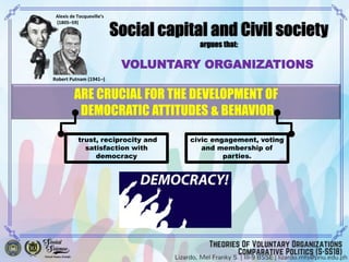 Theories of voluntary organizations | PPT