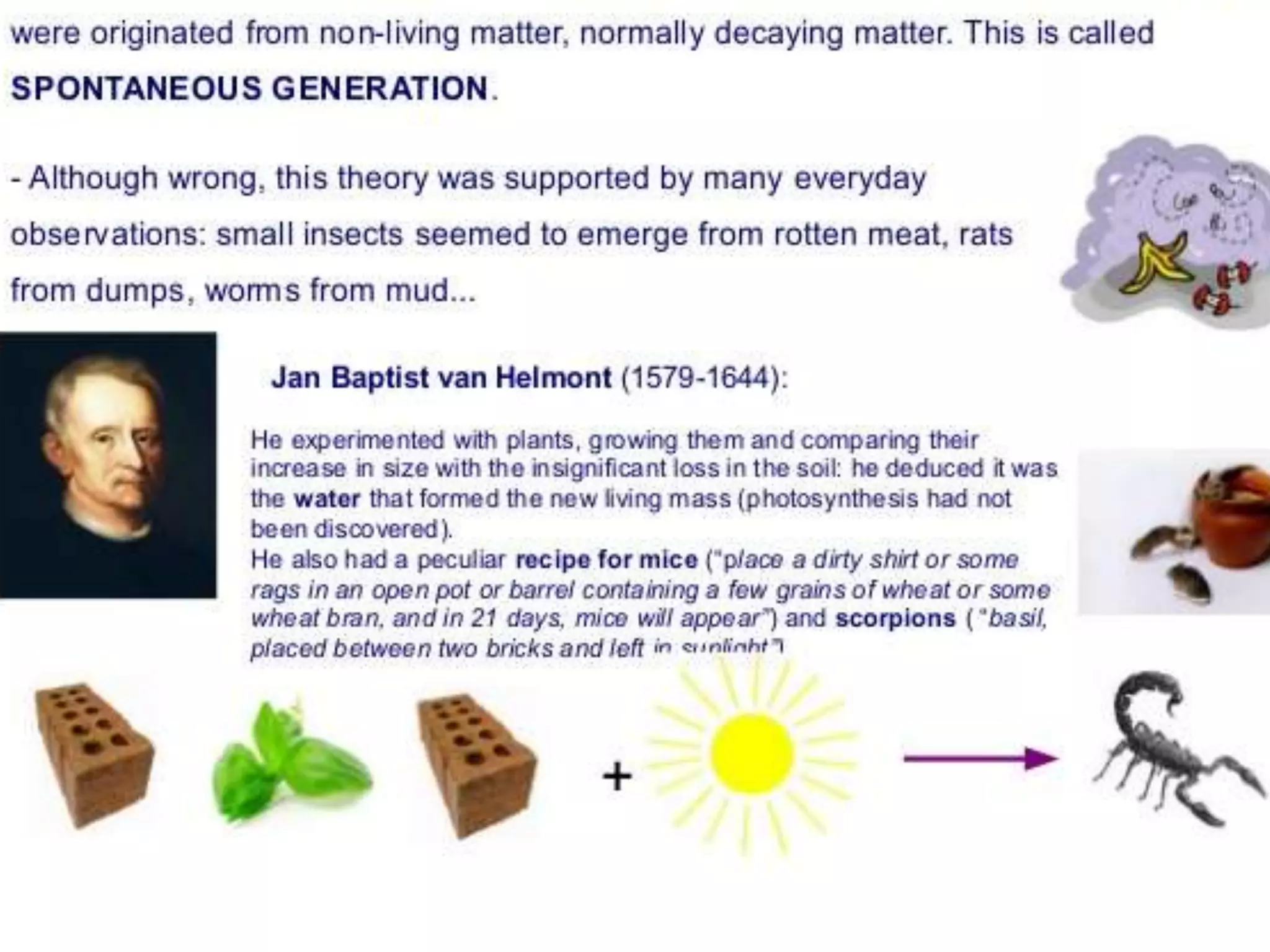 ZOO1 -Theories on the origin of life | PPTX