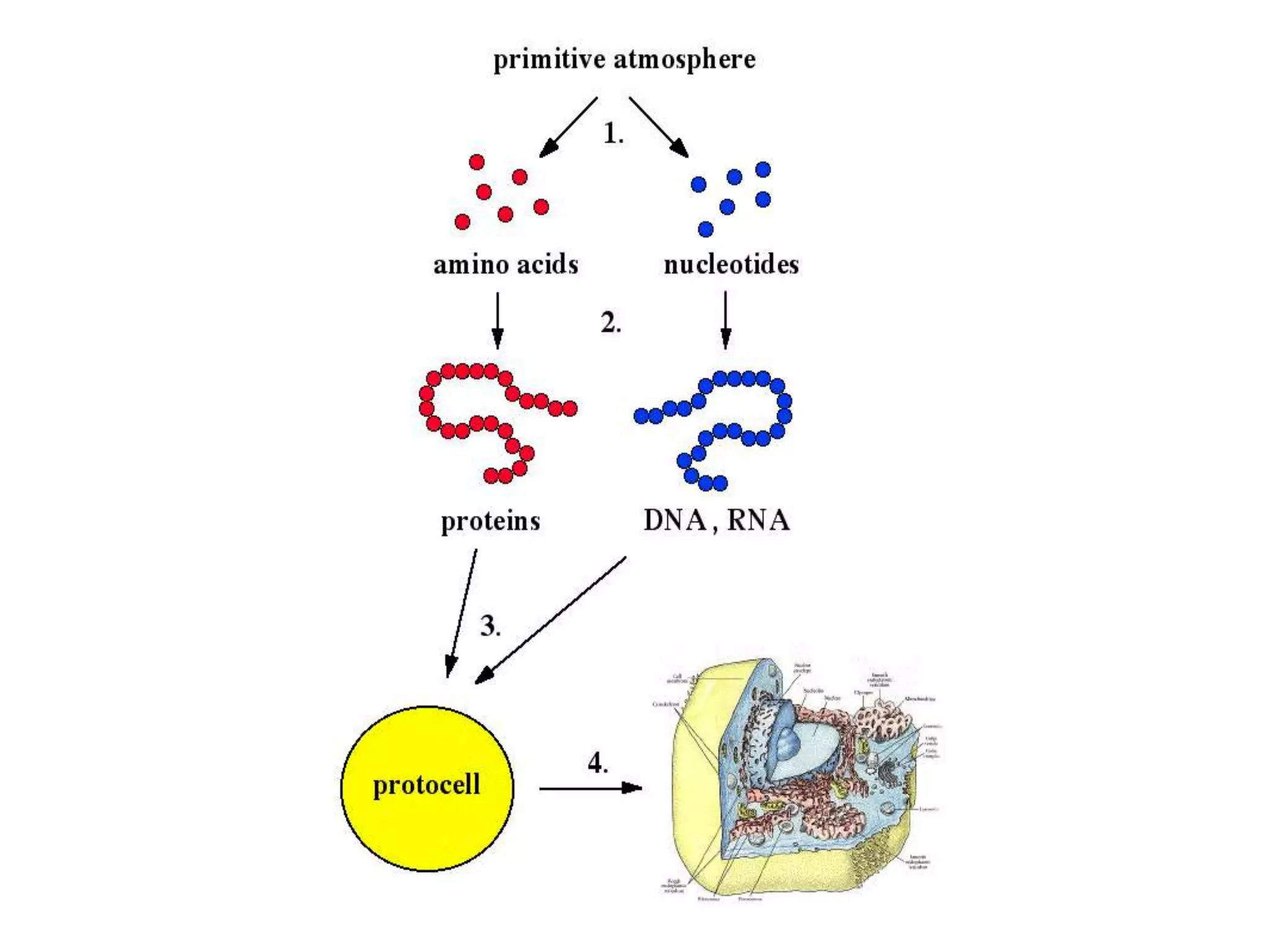 ZOO1 -Theories on the origin of life | PPTX