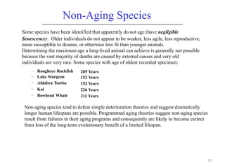 Theories of Biological Aging and Implications for Public Health ...