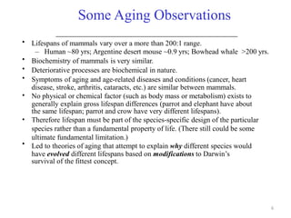 Theories of Biological Aging and Implications for Public Health ...