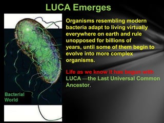 The origin and evolution of life on earth | PPT