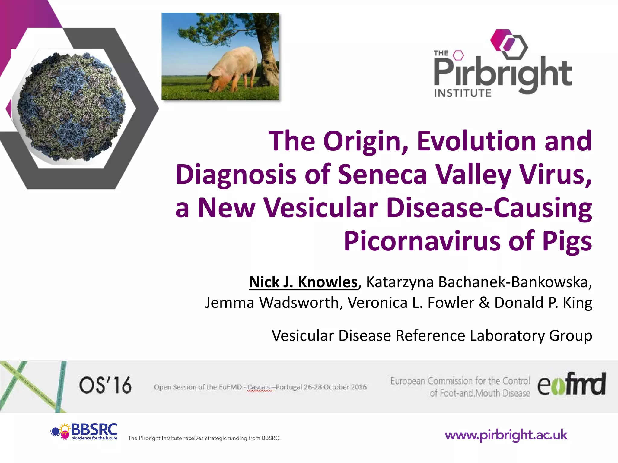 OS16 - 3.1.a The Origin, Evolution and Diagnosis of Seneca Valley Virus ...