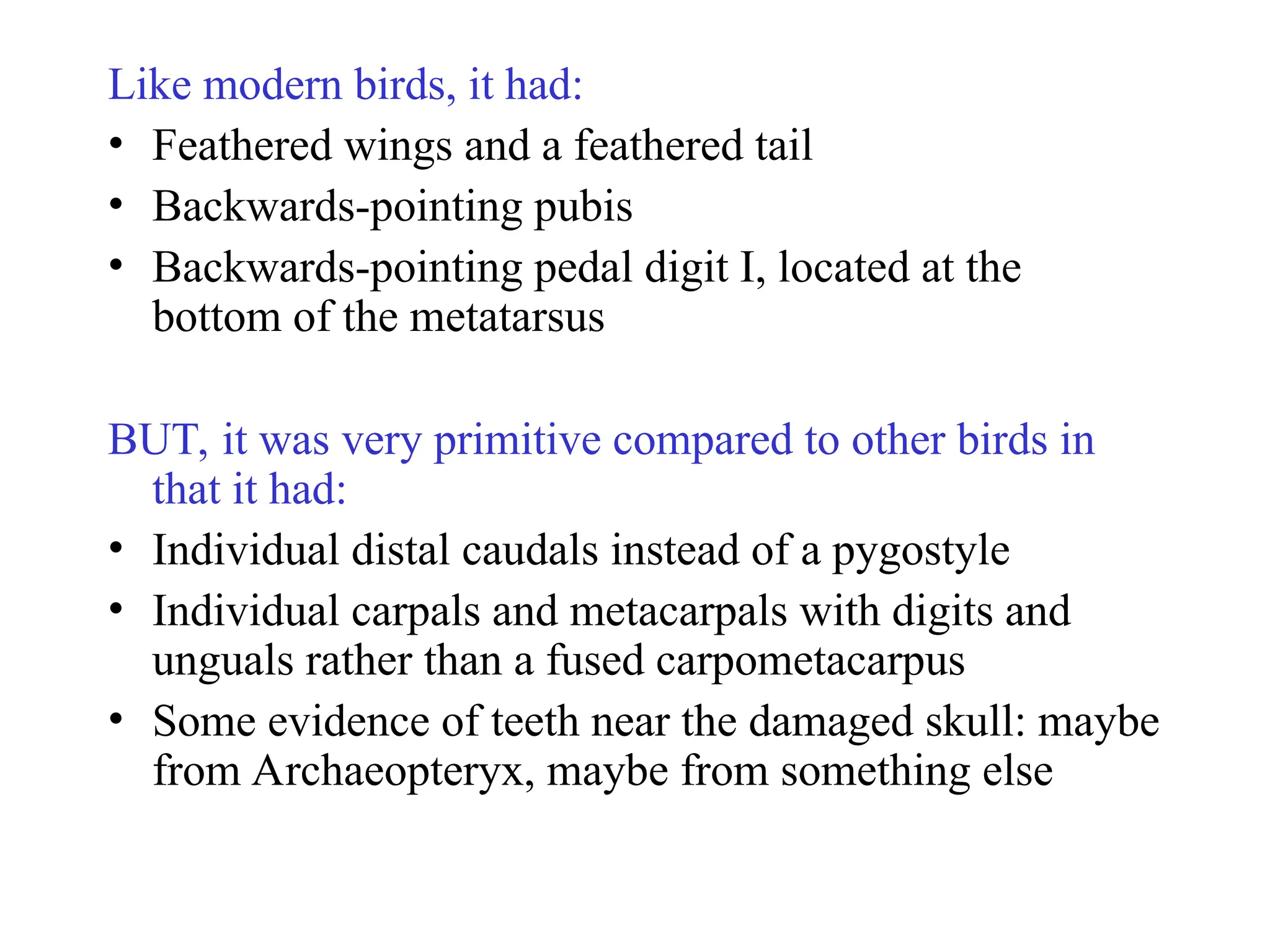 The Origin of Birds. Origin, classification and anatomy | PPT