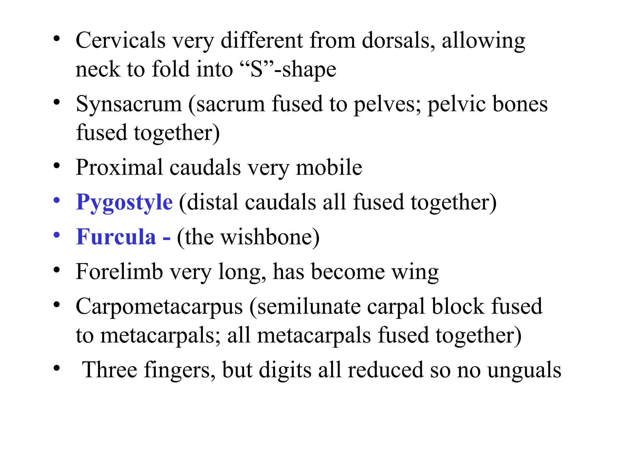The Origin of Birds. Origin, classification and anatomy | PPT