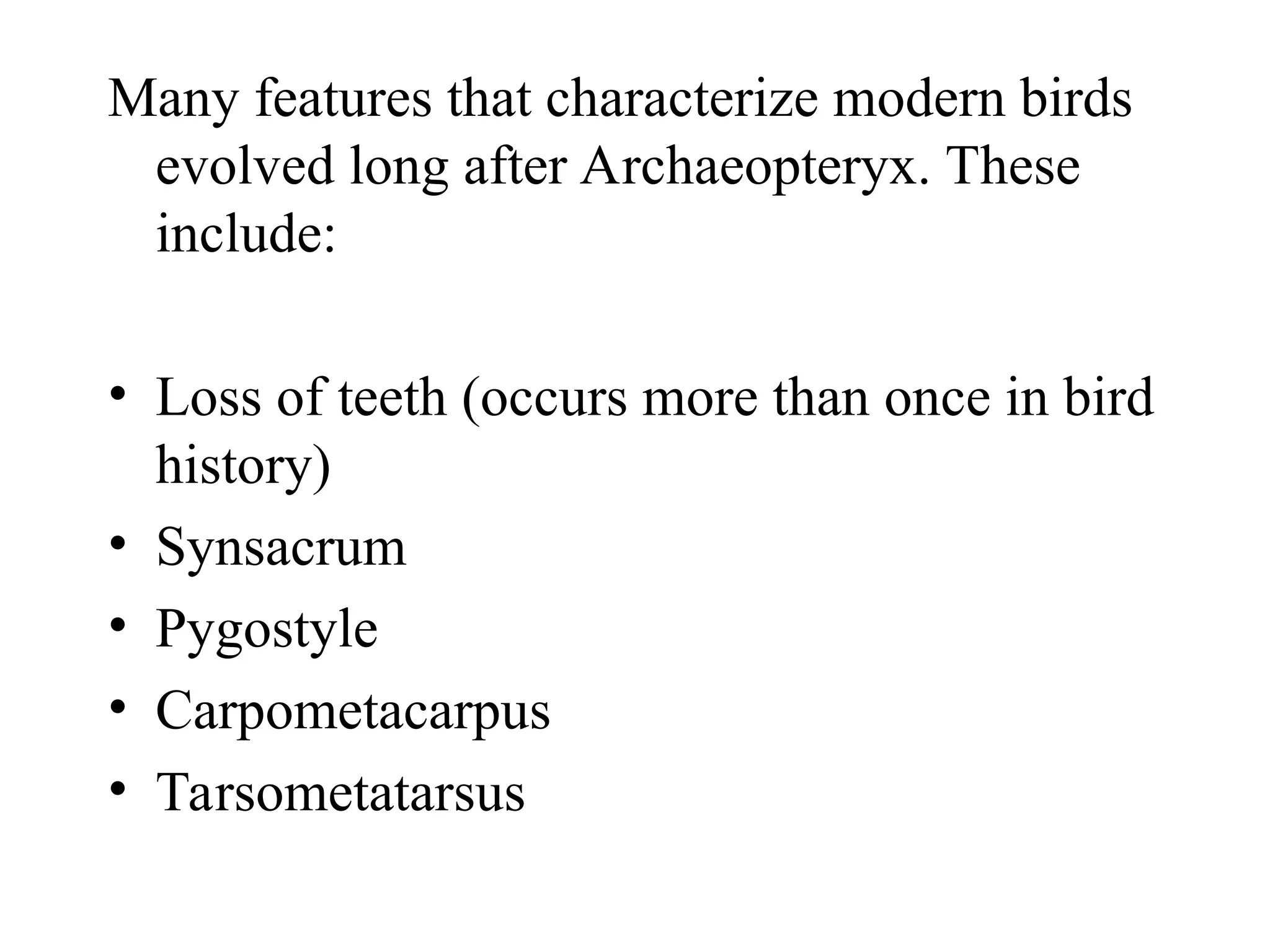 The Origin of Birds. Origin, classification and anatomy | PPT