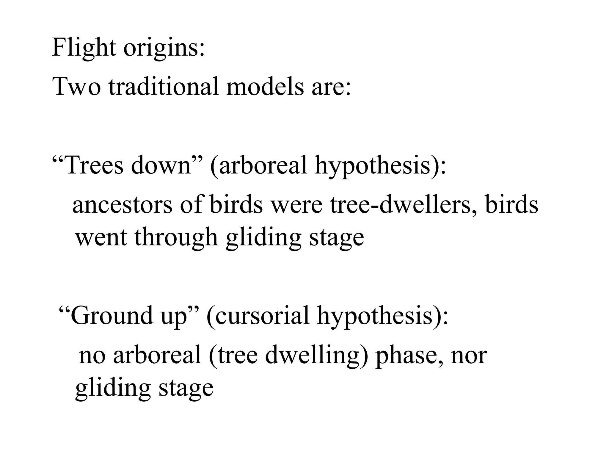 The Origin of Birds. Origin, classification and anatomy | PPT