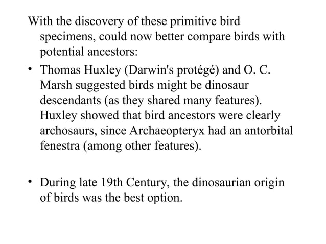 The Origin of Birds. Origin, classification and anatomy | PPT
