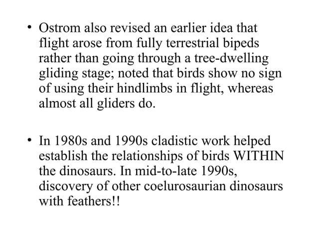 The Origin of Birds. Origin, classification and anatomy | PPT
