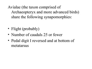The Origin of Birds. Origin, classification and anatomy | PPT