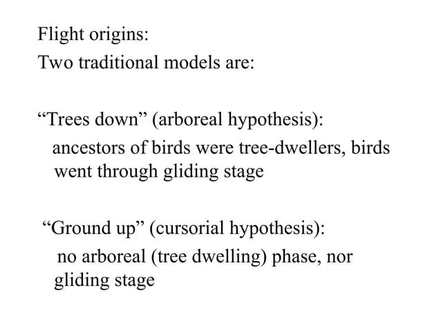 The Origin of Birds. Origin, classification and anatomy | PPT