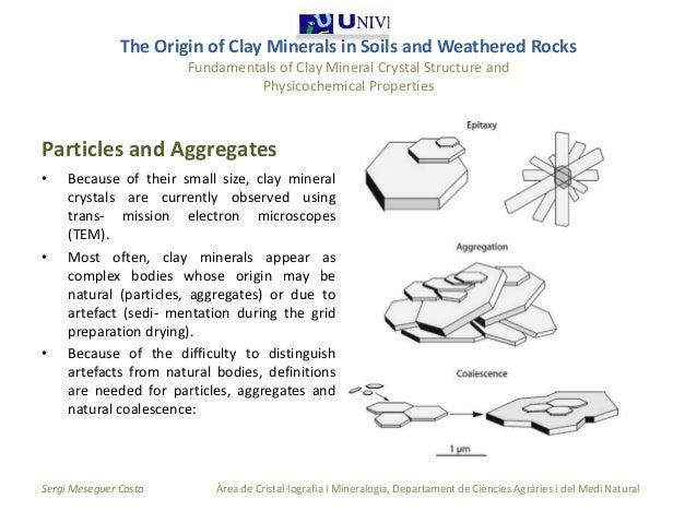 The origin of clay minerals 1 1