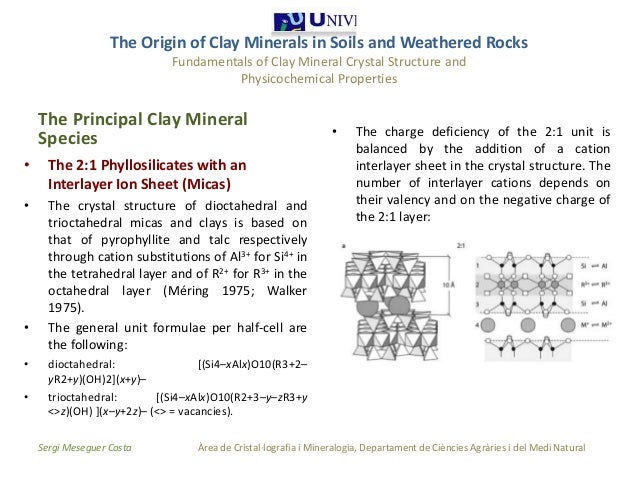 The origin of clay minerals 1 1
