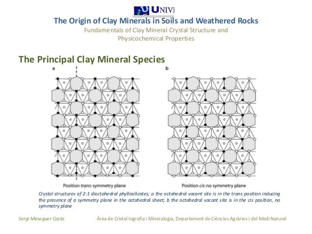 The origin of clay minerals 1 1