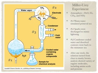 The Origin Of Life | PPT