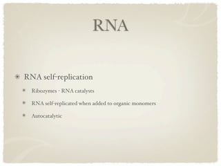 The Origin Of Life Key | PPT