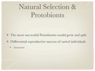 The Origin Of Life Key | PPT