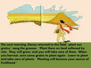The Origin of Rice (Tagalog Version) | PPTX