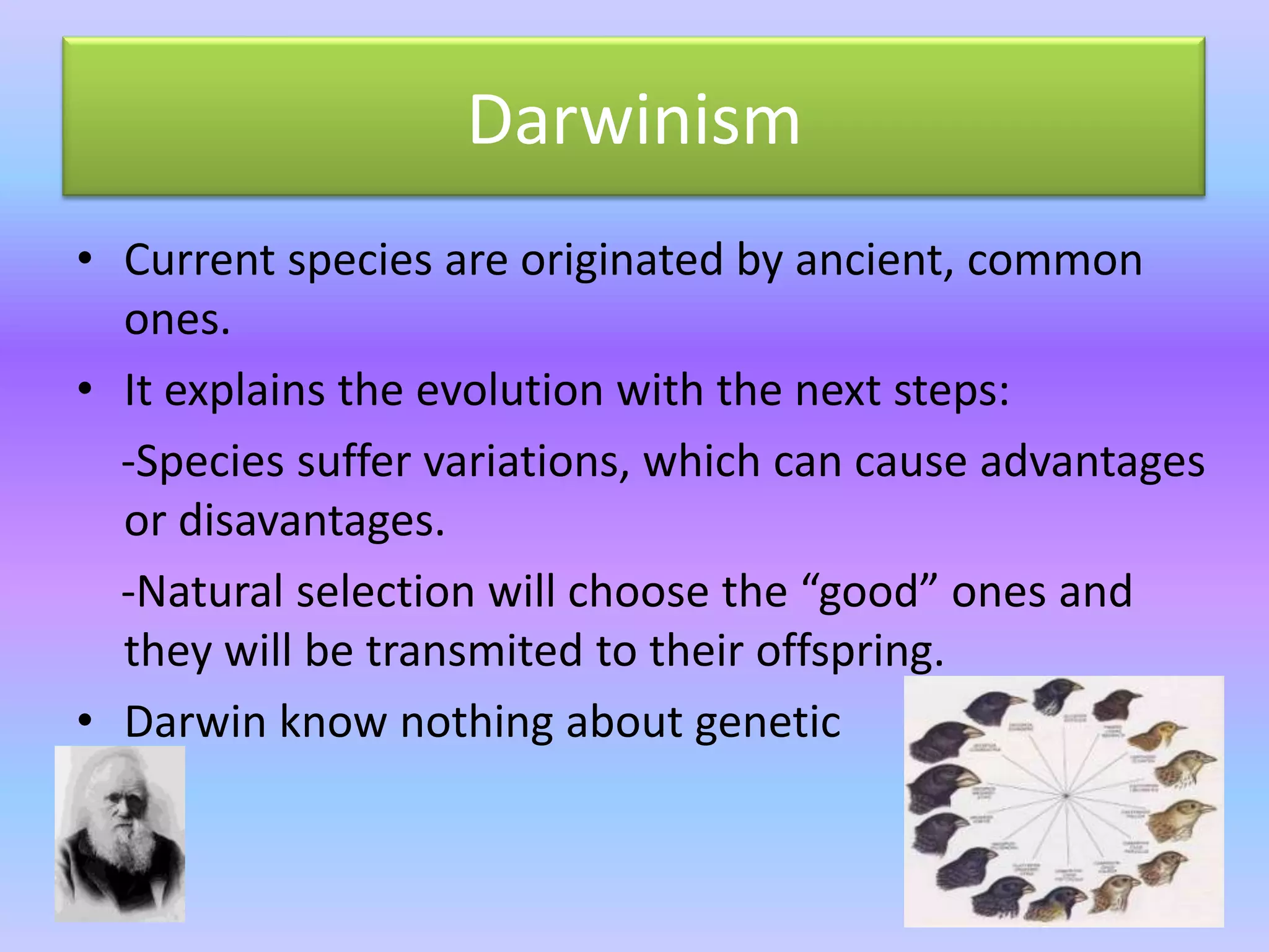 The origin of species | PPTX