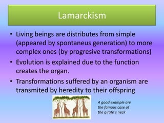 The origin of species | PPTX