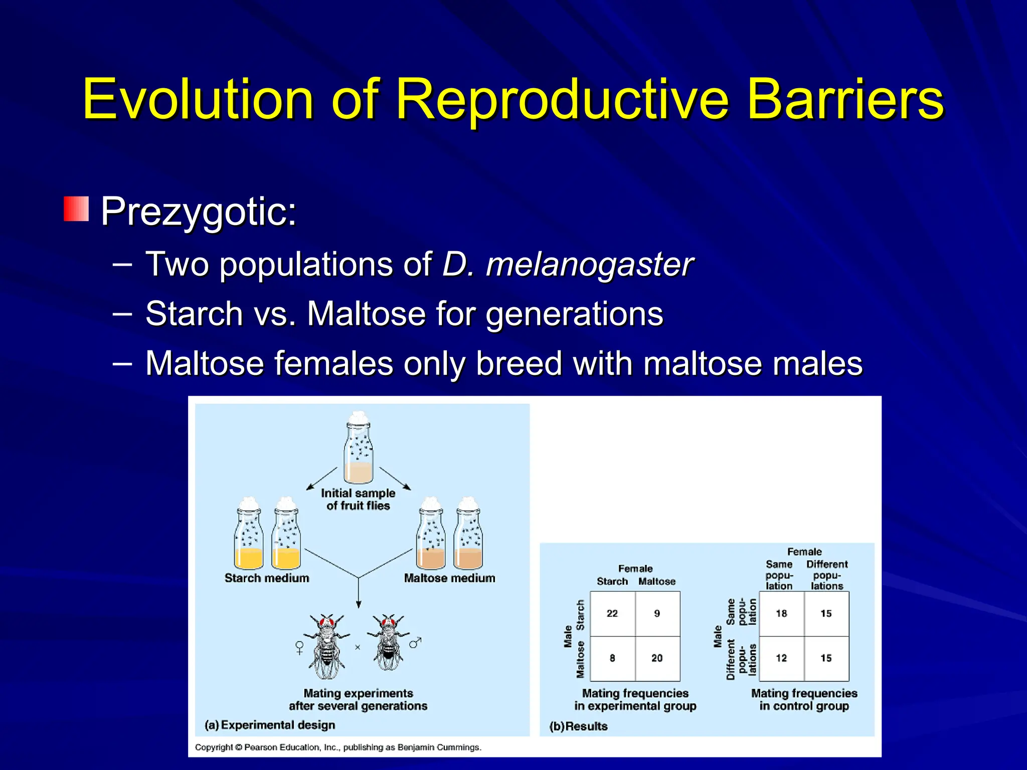 The_Origin_of_Species.ppt,................. | PPT