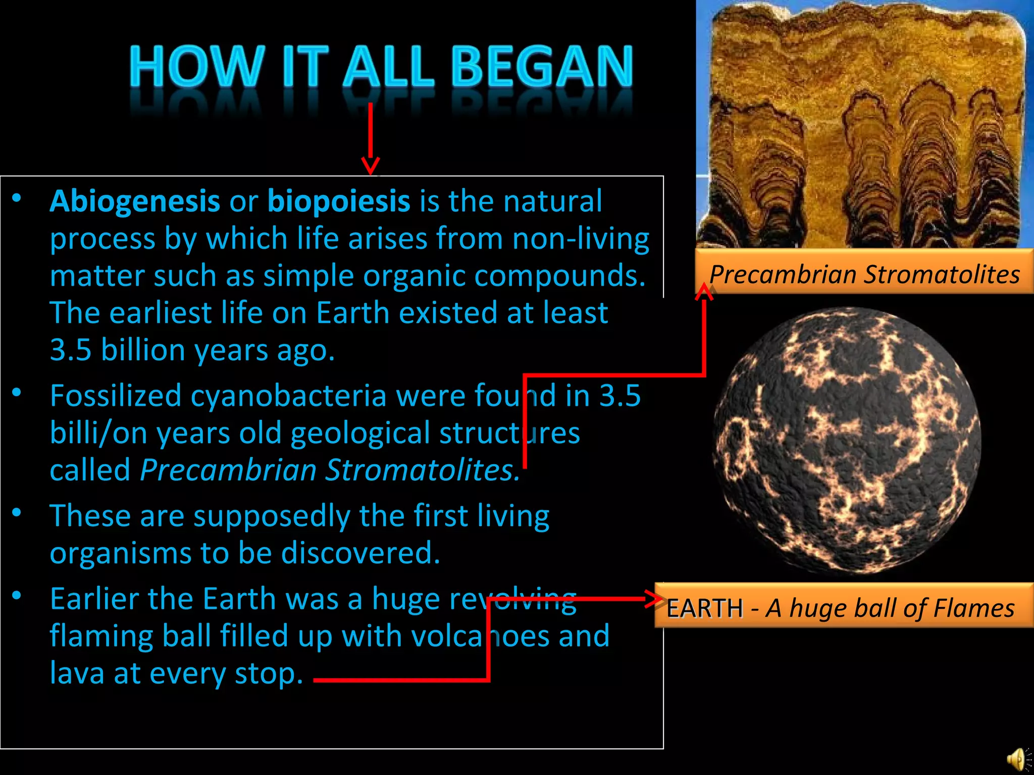 The Origin Of Species | PPT