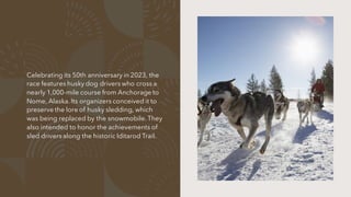 The Origin of the Iditarod Trail Sled Dog Race | PPT