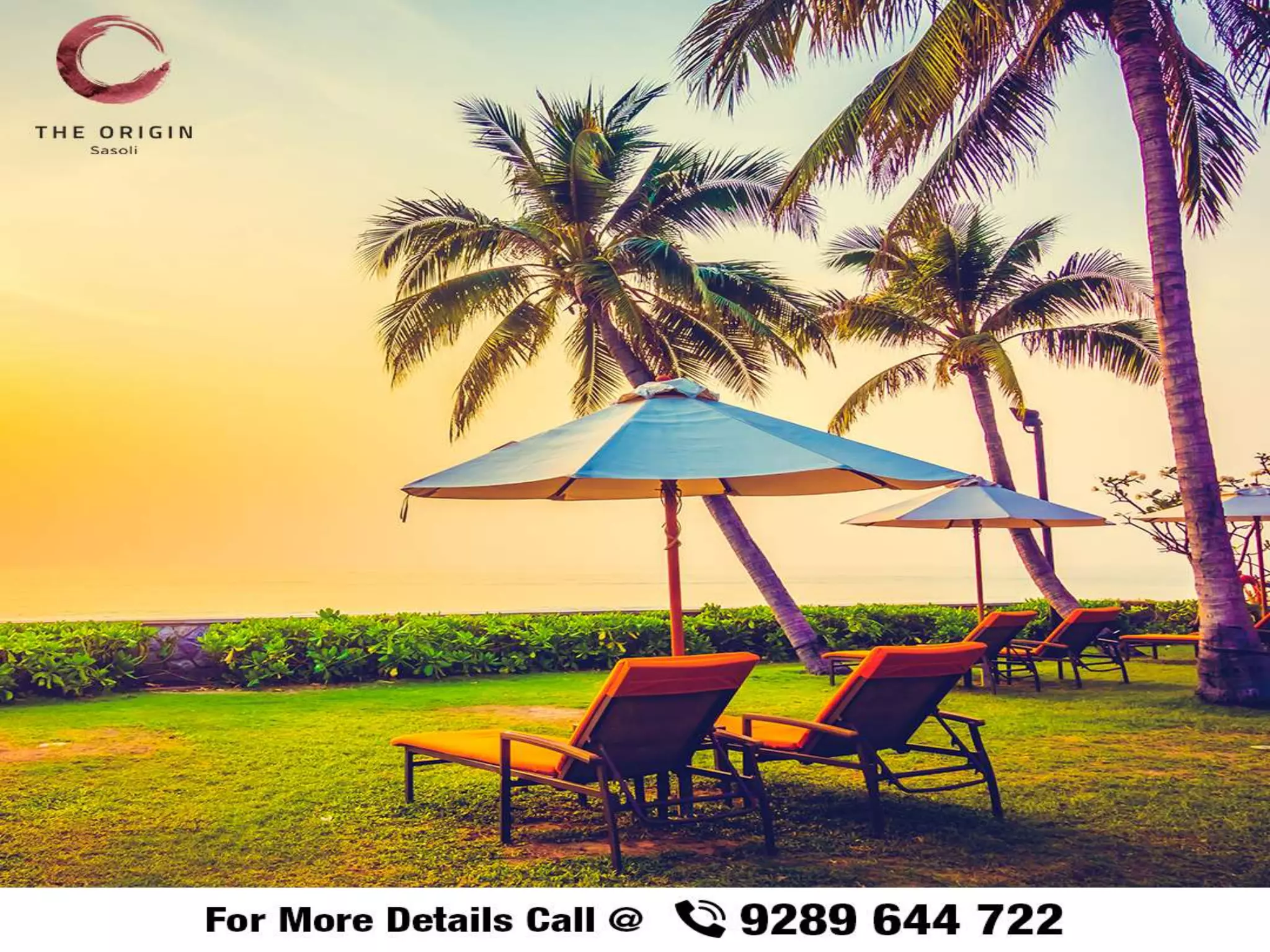 The Origin Sasoli Plots in North Goa | PPT