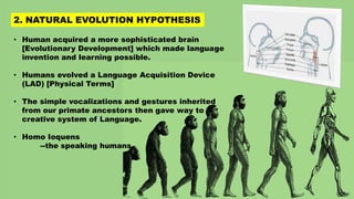 The origins of langauge | PPT