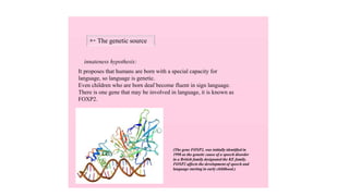 The Origins Of Language (1).pptx