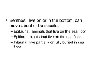 The Origins Of Life | PPT