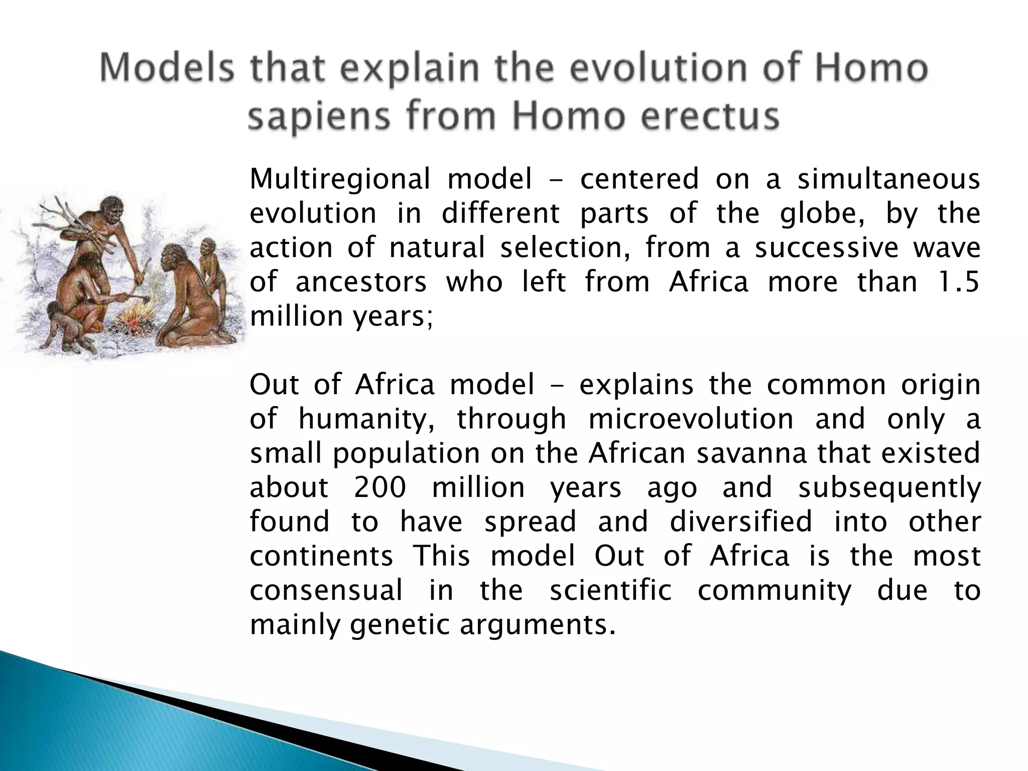 The origins of modern man | PPTX