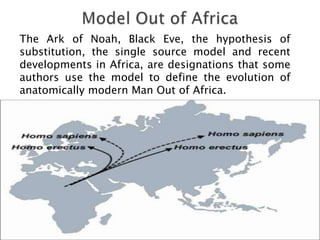 The origins of modern man | PPTX