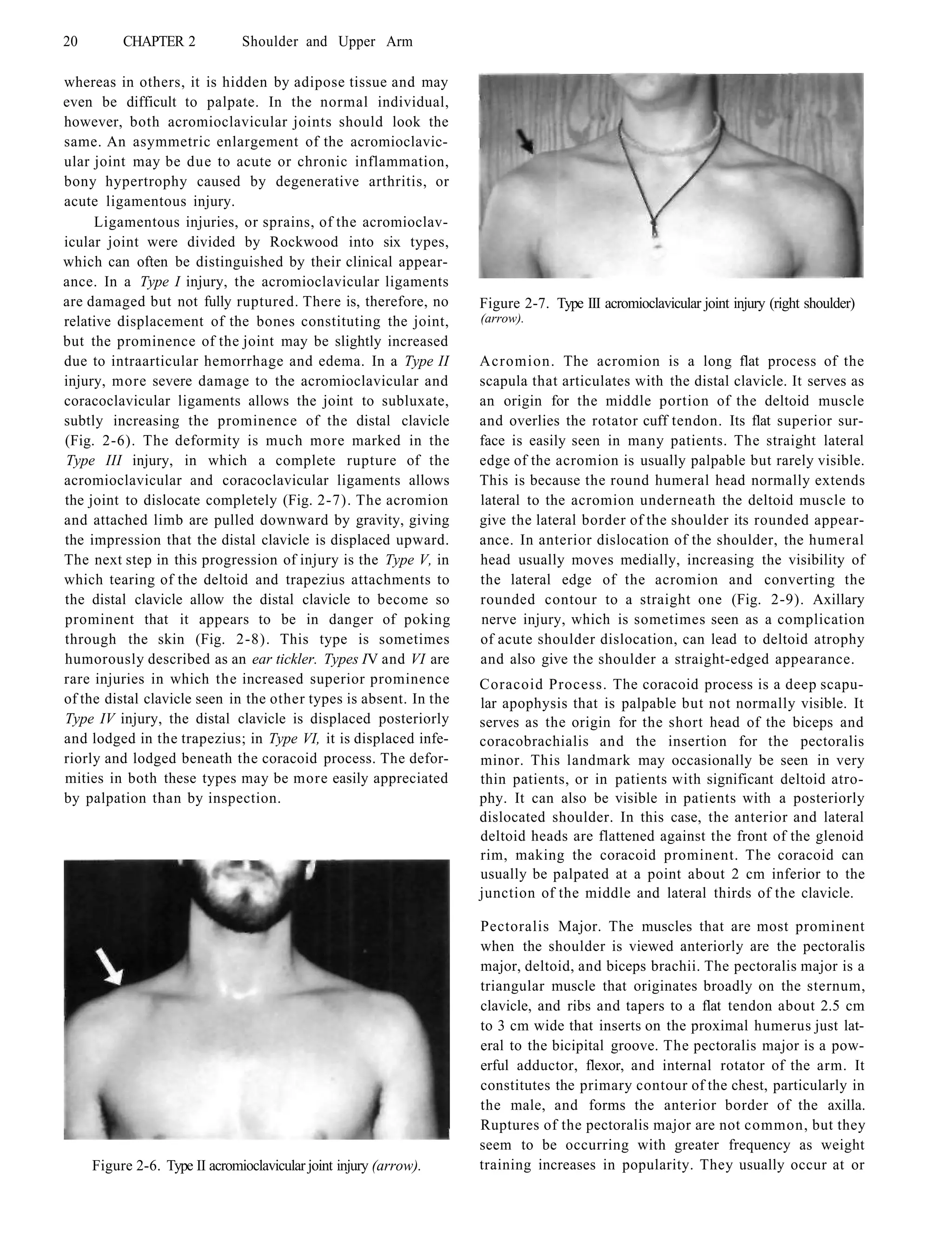 THE ORTHOPAEDIC PHYSICAL EXAMINATION. 2 Ed..pdf
