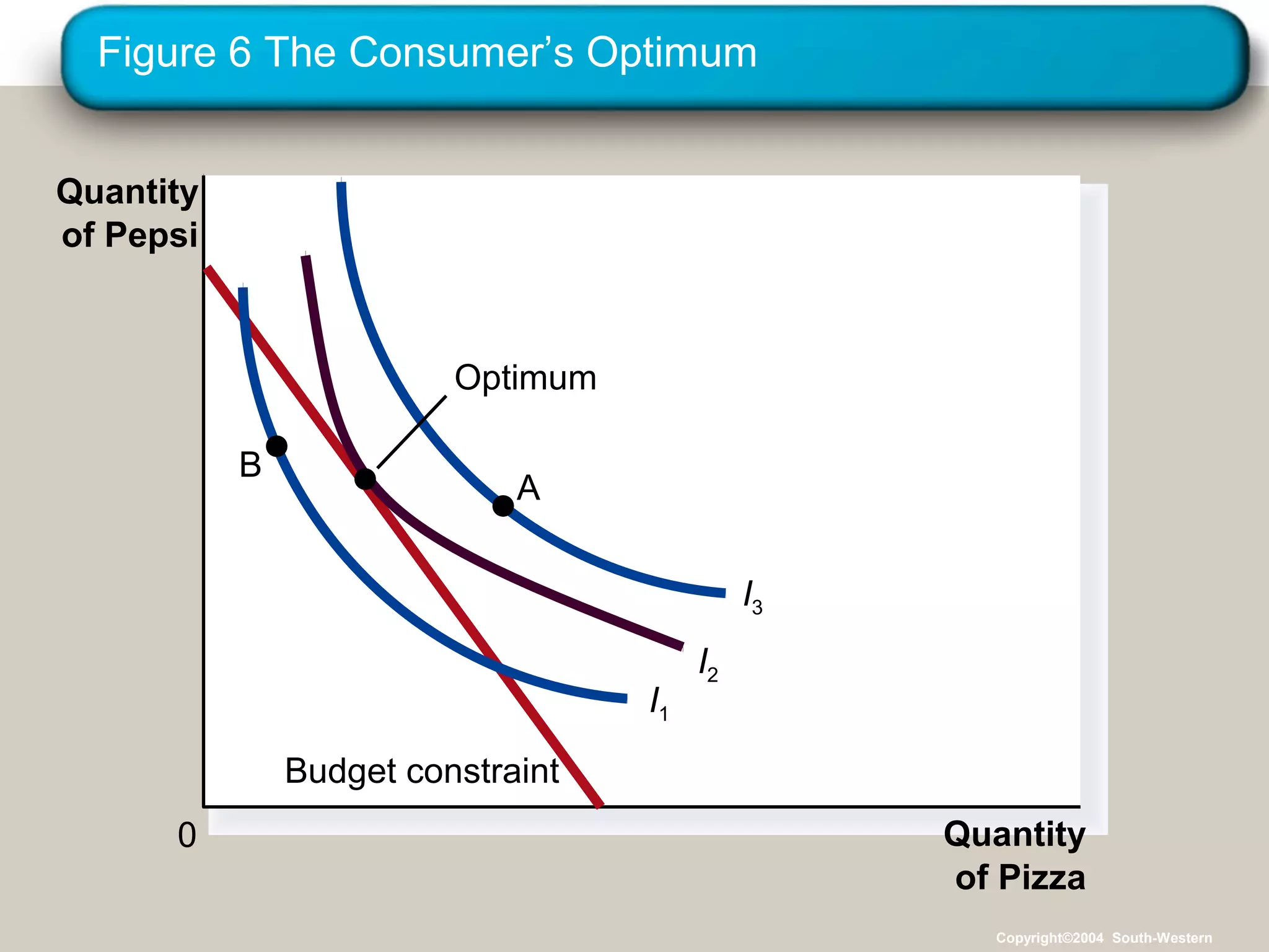 The Theory of Consumer Choice | PPT