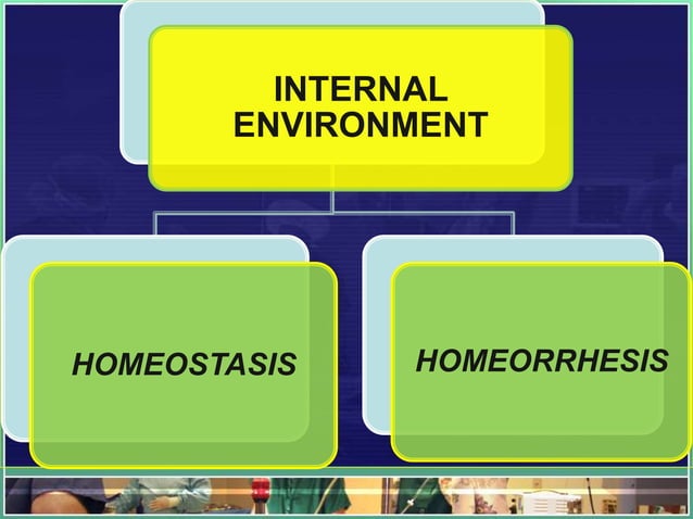 LEVINE'S Theory | PPTX | Healthcare Industry | Industries