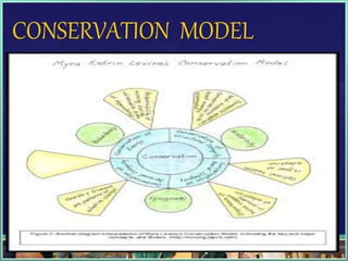 LEVINE'S Theory | PPT
