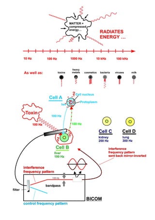 Theory of bioresonance | PPT