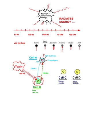 Theory of bioresonance | PPT