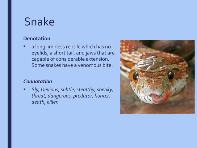 Theory meaning | PPT