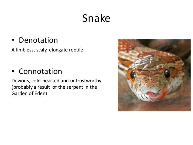 Theory meaning pro-forma