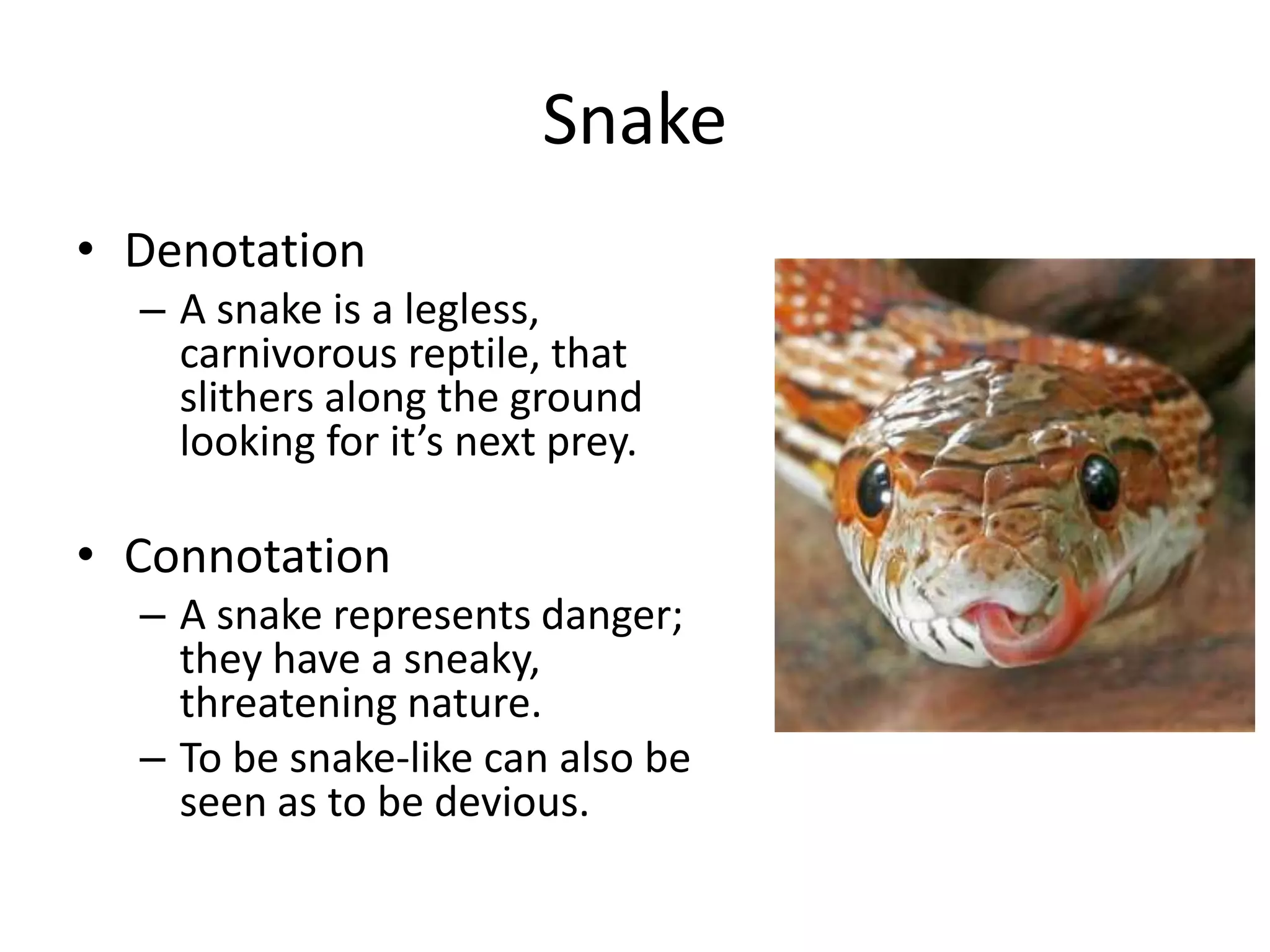 Theory - Meaning Pro-Forma | PPTX