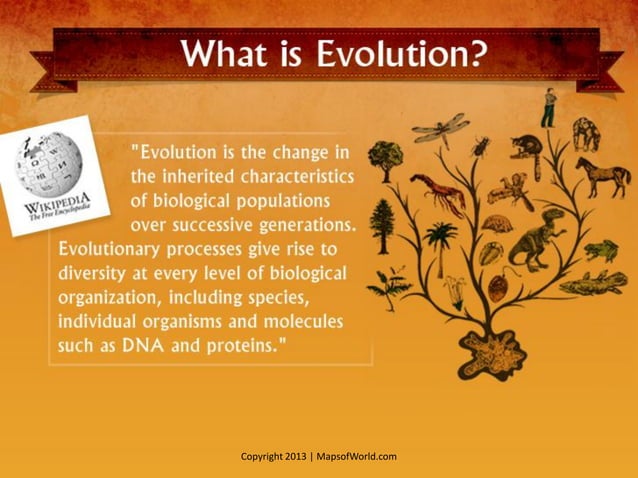 Is The Theory Of Evolution True? - Facts & Infographic | PDF