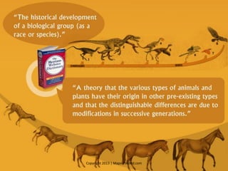 Is The Theory Of Evolution True? - Facts & Infographic | PDF