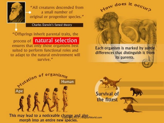 Is The Theory Of Evolution True? - Facts & Infographic | PDF