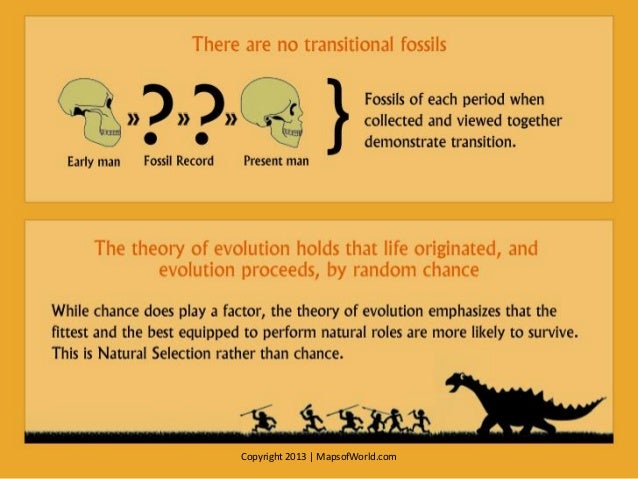 Is The Theory Of Evolution True? - Facts & Infographic