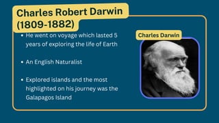 THEORY-OF-EVOLUTION (1).pdfhhhhhhhhhhhhhhhh | PDF