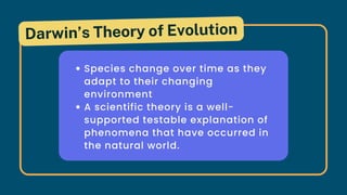 THEORY-OF-EVOLUTION (1).pdfhhhhhhhhhhhhhhhh | PPT