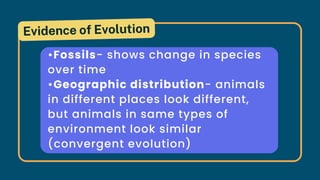 THEORY-OF-EVOLUTION (1).pdfhhhhhhhhhhhhhhhh | PDF