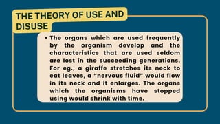 THEORY-OF-EVOLUTION (1).pdfhhhhhhhhhhhhhhhh | PPT